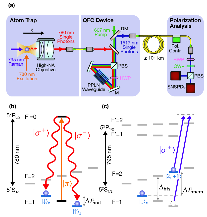 [2308.08892] Long-Lived Quantum Memory Enabling Atom-Photon ...