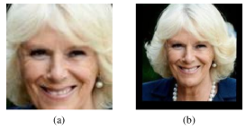 [2308.11509] SwinFace: A Multi-task Transformer for Face Recognition, Expression Recognition ...