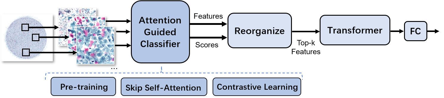 [2309.02670] Progressive Attention Guidance for Whole Slide ...