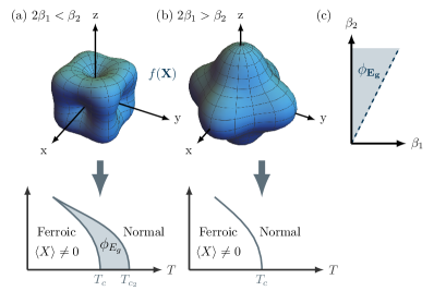 [2309.03312] Hidden composite (multi)ferroic order