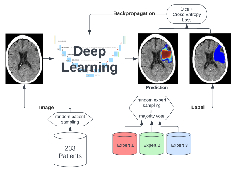 [2309.03930] Random Expert Sampling for Deep Learning Segmentation of ...