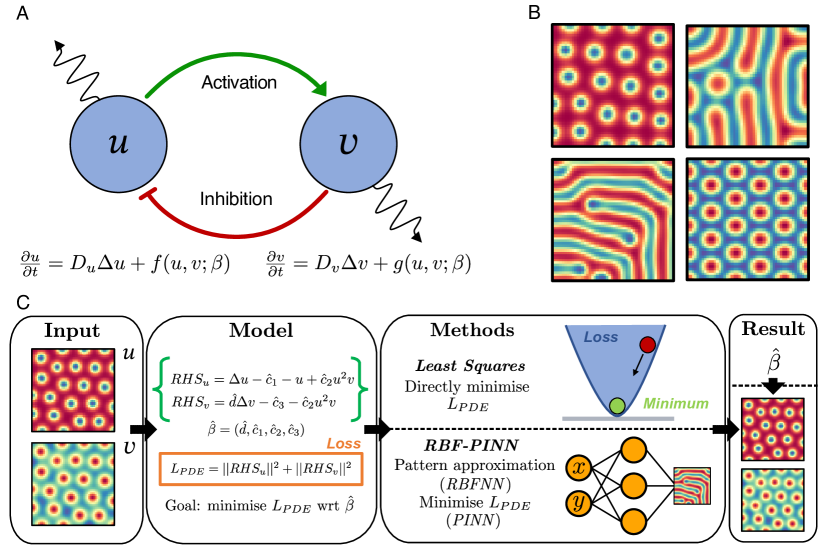[2309.06339] Unraveling biochemical spatial patterns: machine learning approaches to the inverse ...