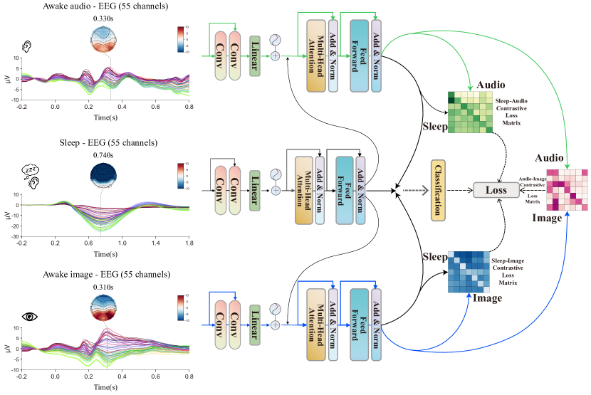 [2309.16457] Universal Sleep Decoder: Aligning awake and sleep neural ...