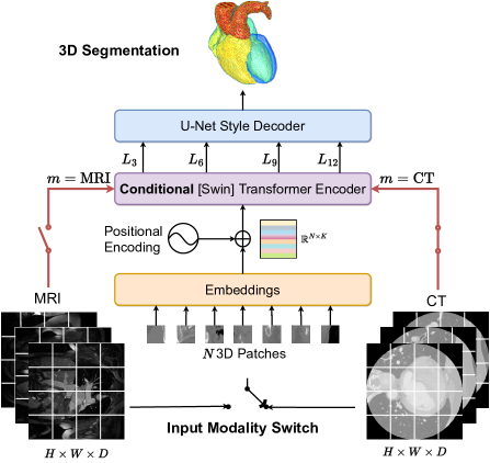 [2310.05572] A Simple and Robust Framework for Cross-Modality Medical ...