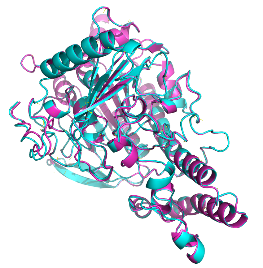 [2310.19624] Exploring Post-Training Quantization of Protein Language ...