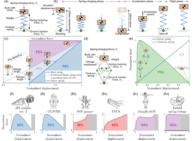 [2311.02188] Elastic energy storage of spring-driven jumping robots