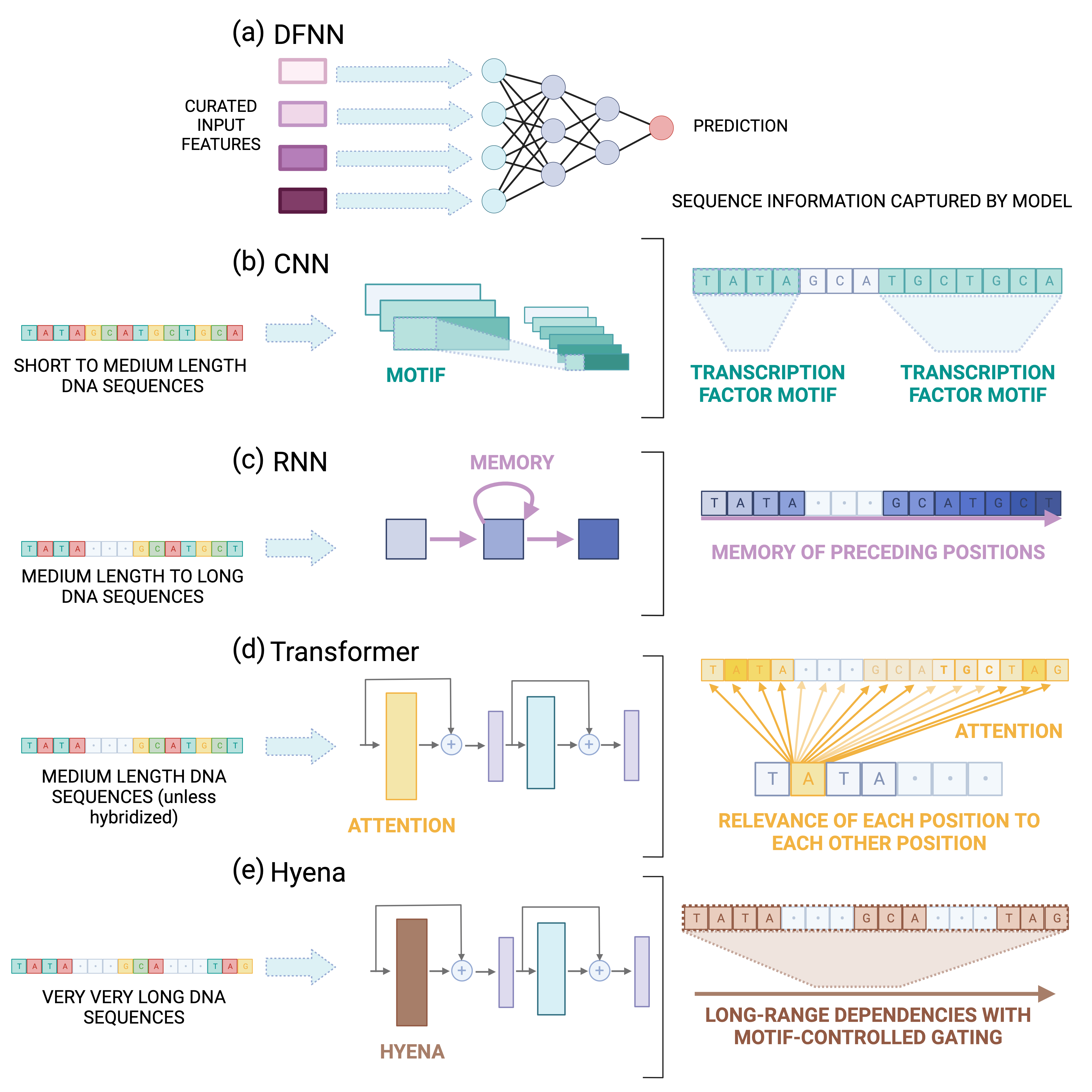 [2311.07621] To Transformers and Beyond: Large Language Models for the ...