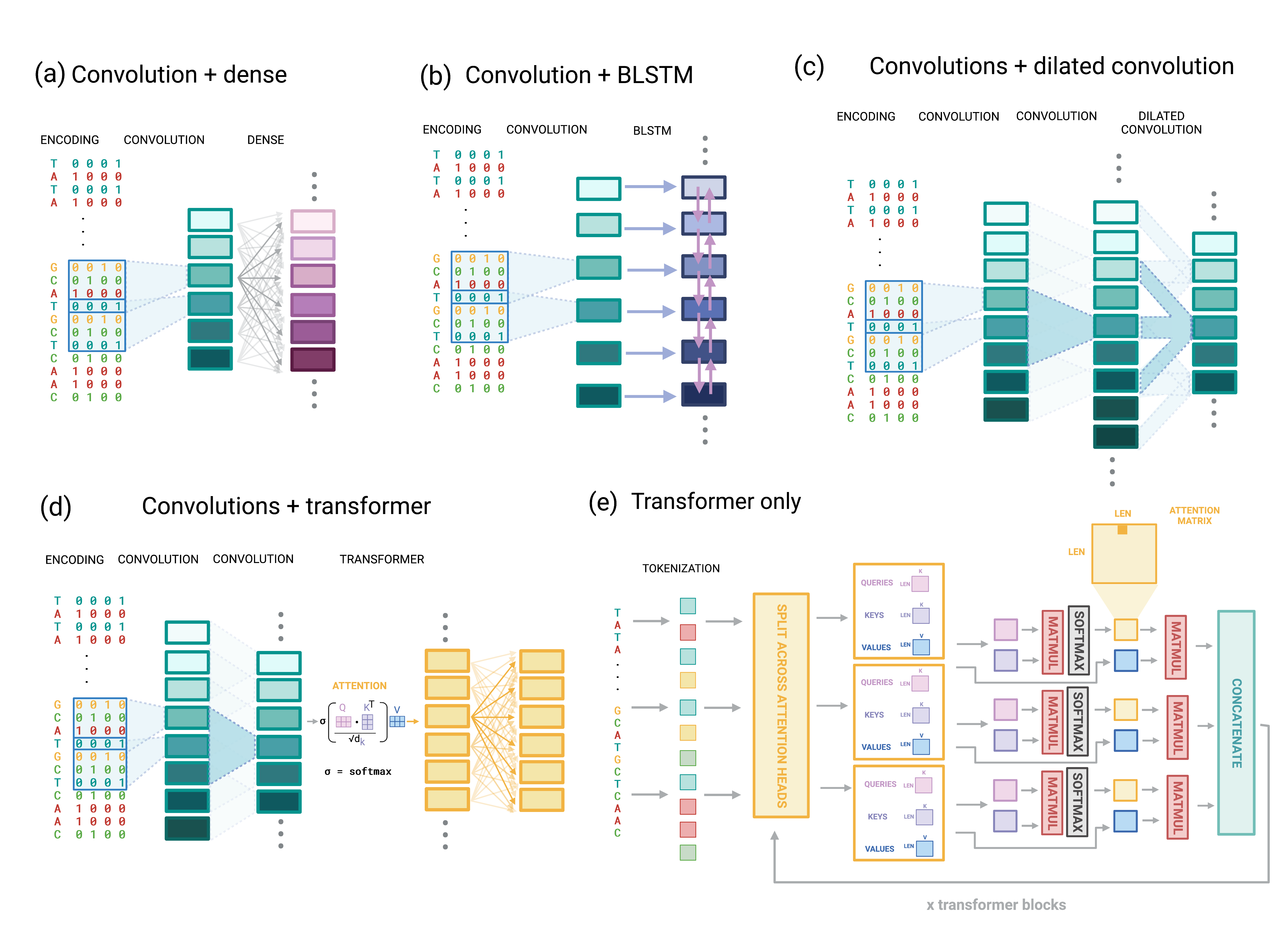 [2311.07621] To Transformers and Beyond: Large Language Models for the ...