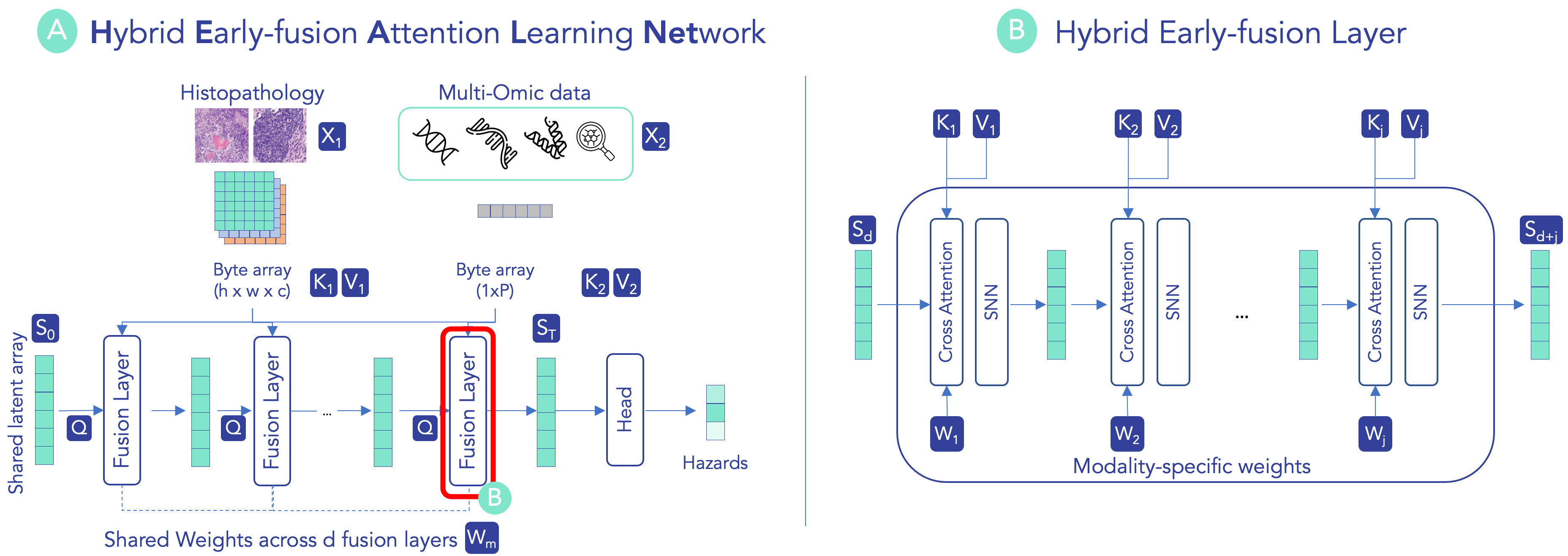 [2311.09115] HEALNet - Hybrid Multi-Modal Fusion for Heterogeneous ...