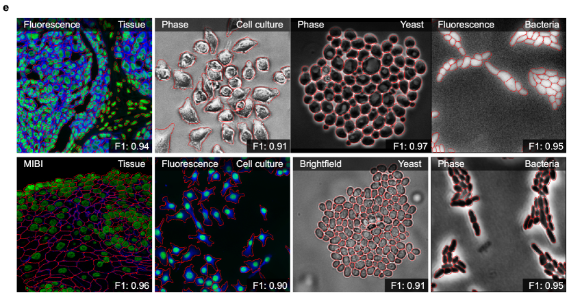 [2311.11004] A Foundation Model for Cell Segmentation