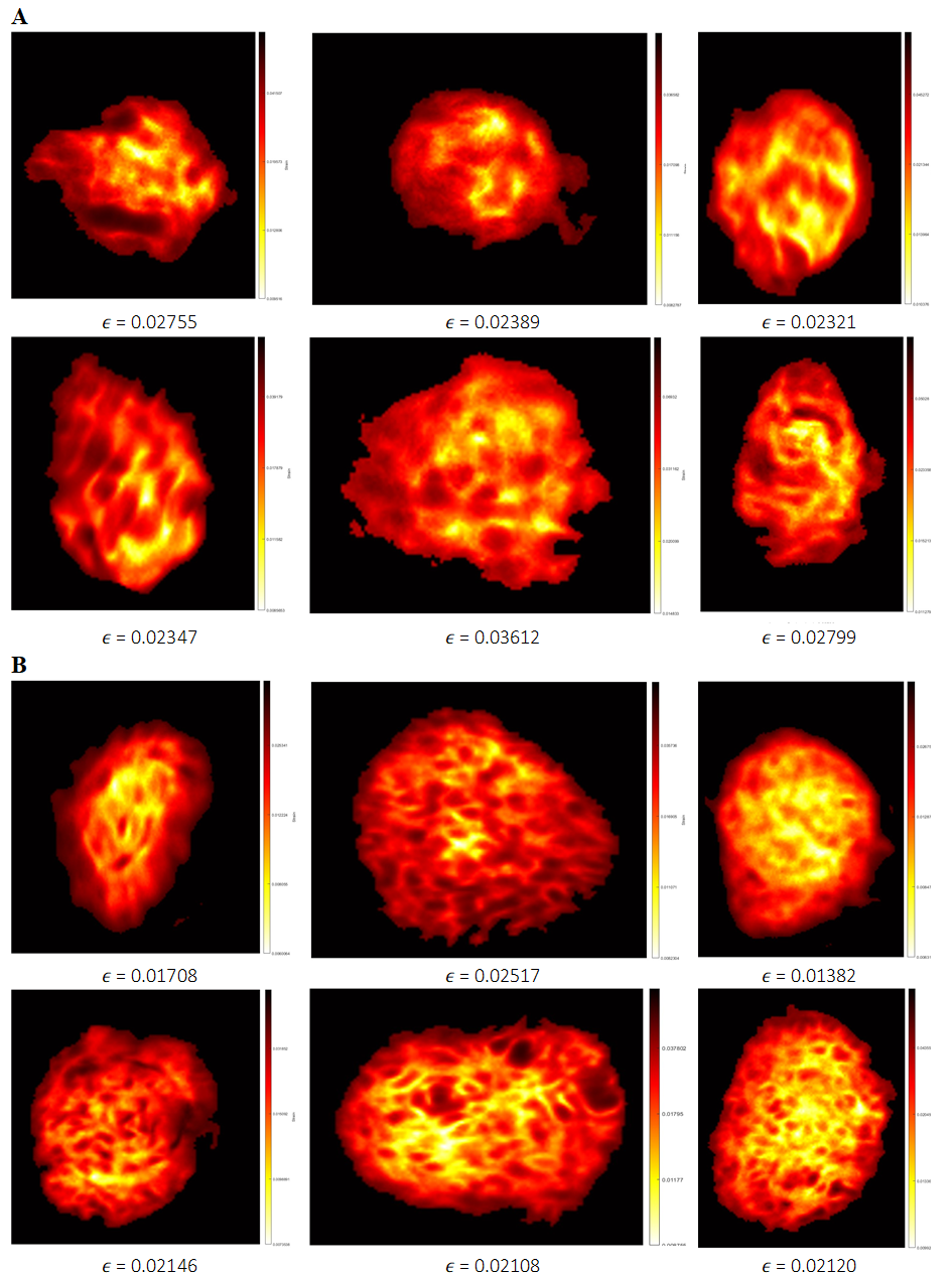 [2311.12739] Biomechanical Analysis of Breast Cancer Cells: A ...
