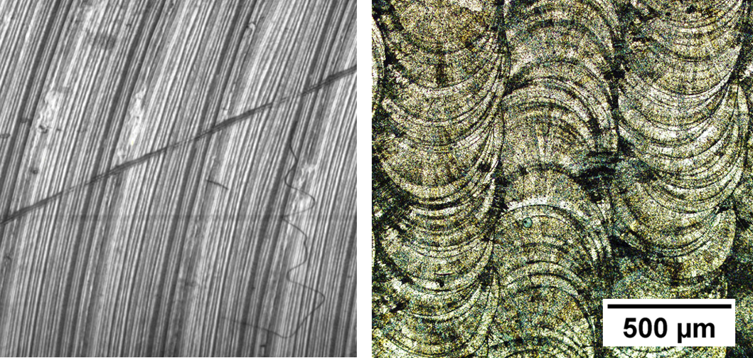 [2311.15082] Learning graph-Fourier spectra of textured surface images for defect localization