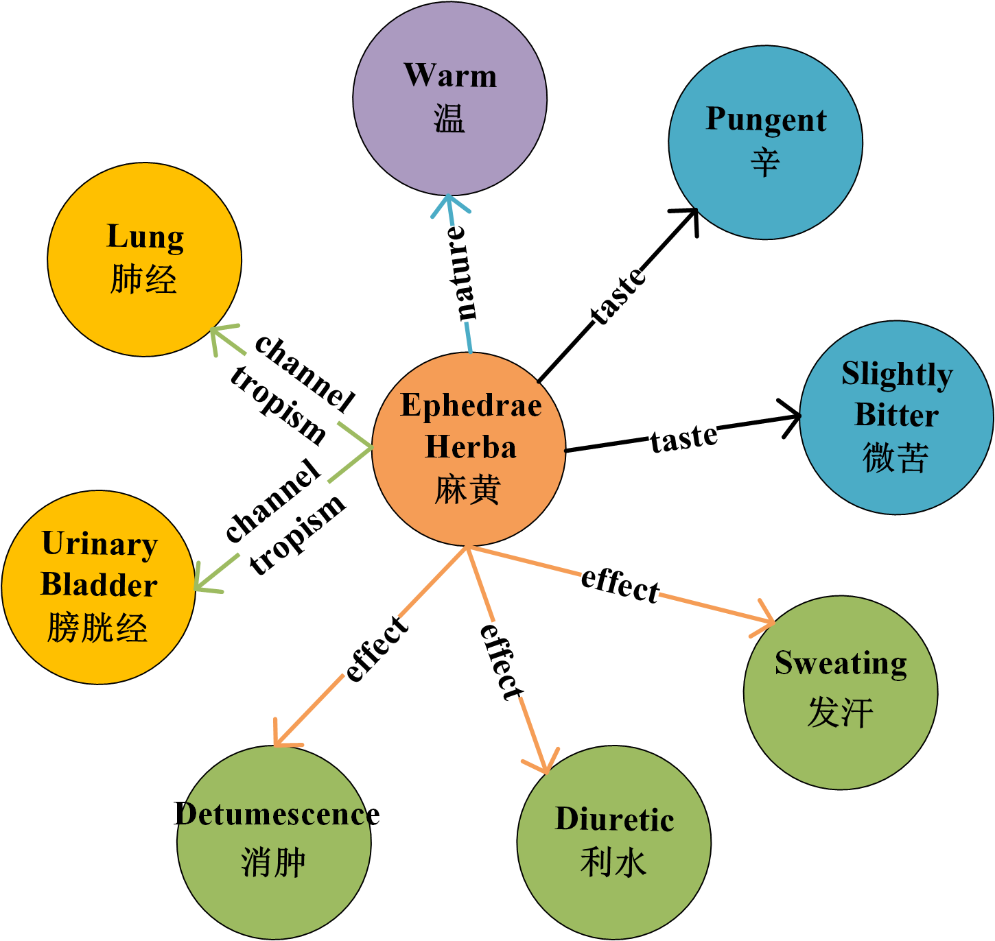 [2311.17307] RoKEPG: RoBERTa and Knowledge Enhancement for Prescription ...