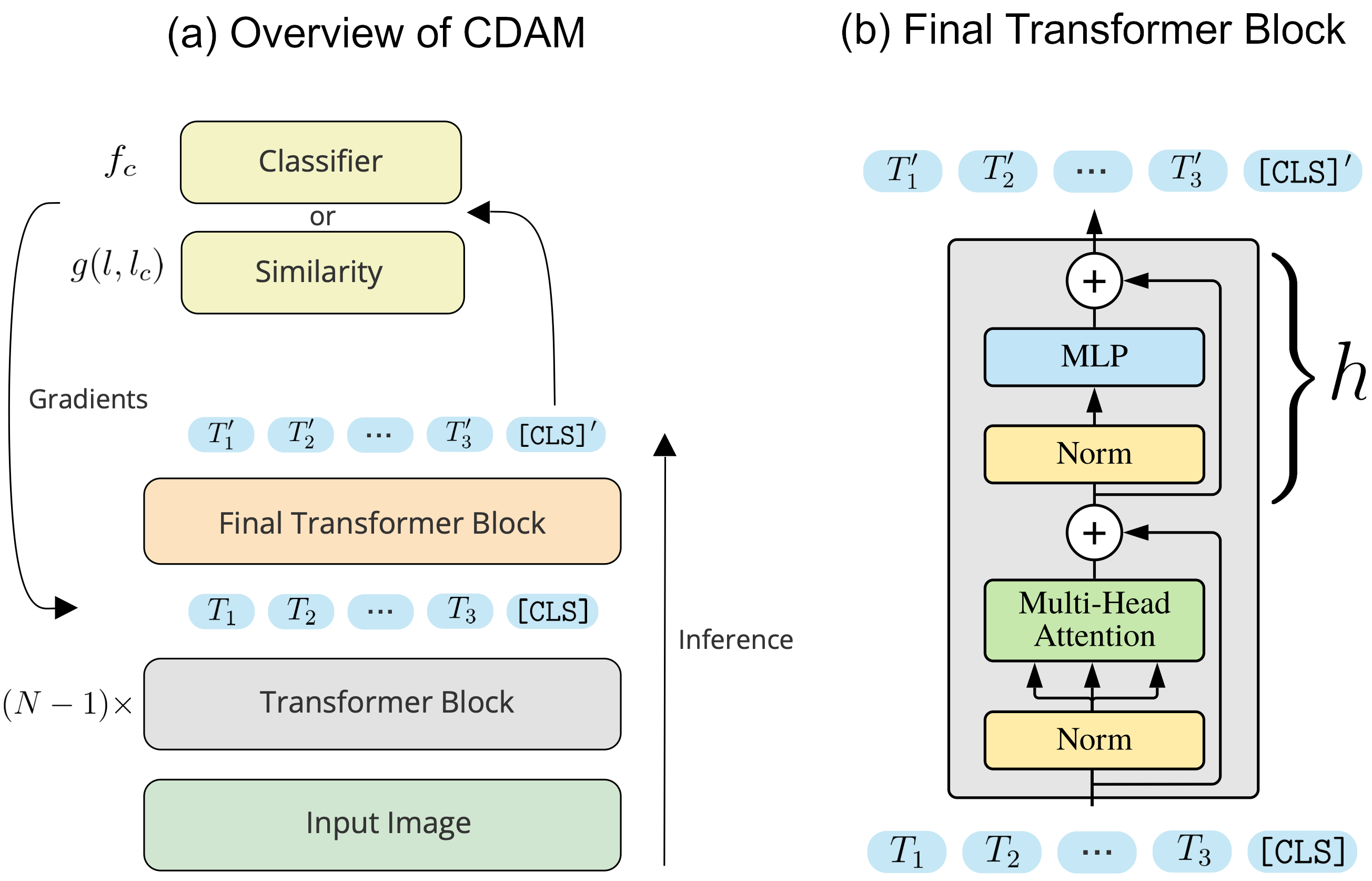 [2312.02364] Class-Discriminative Attention Maps for Vision Transformers