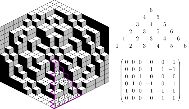 [2312.03564] Totally symmetric self-complementary plane partition matrices and related polytopes