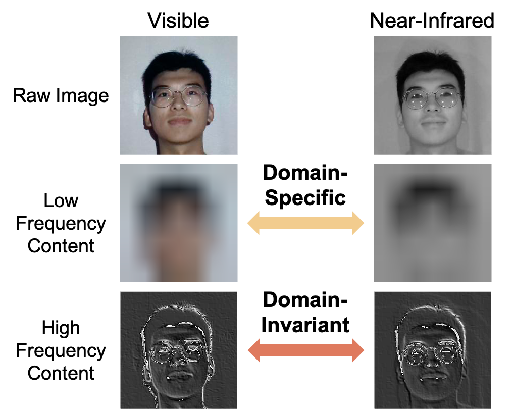 [2312.05908] Multi-Energy Guided Image Translation with Stochastic ...