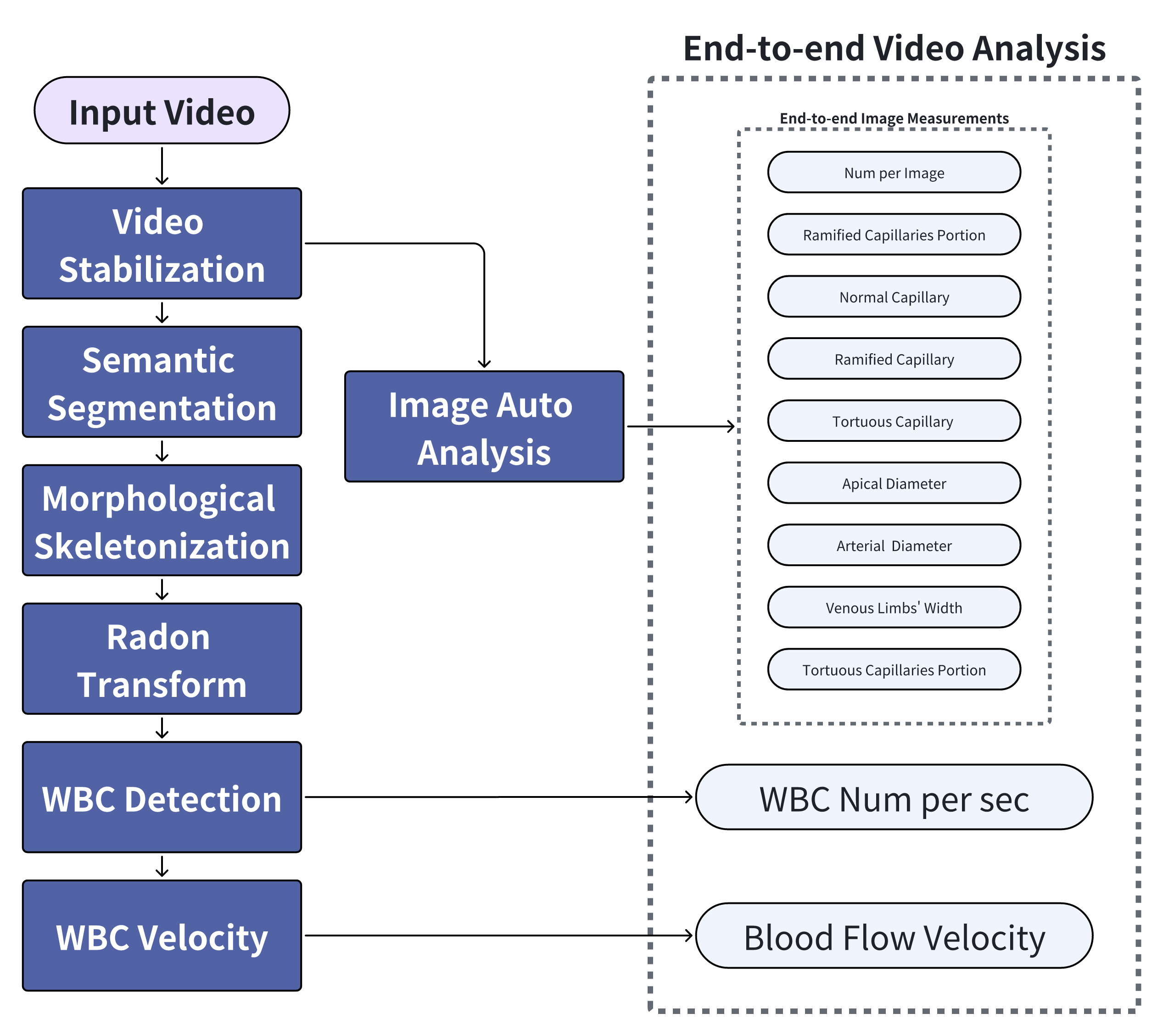 [2312.05930] A Comprehensive Dataset and Automated Pipeline for ...
