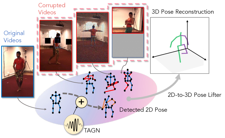 [2312.06797] Improving the Robustness of 3D Human Pose Estimation: A ...