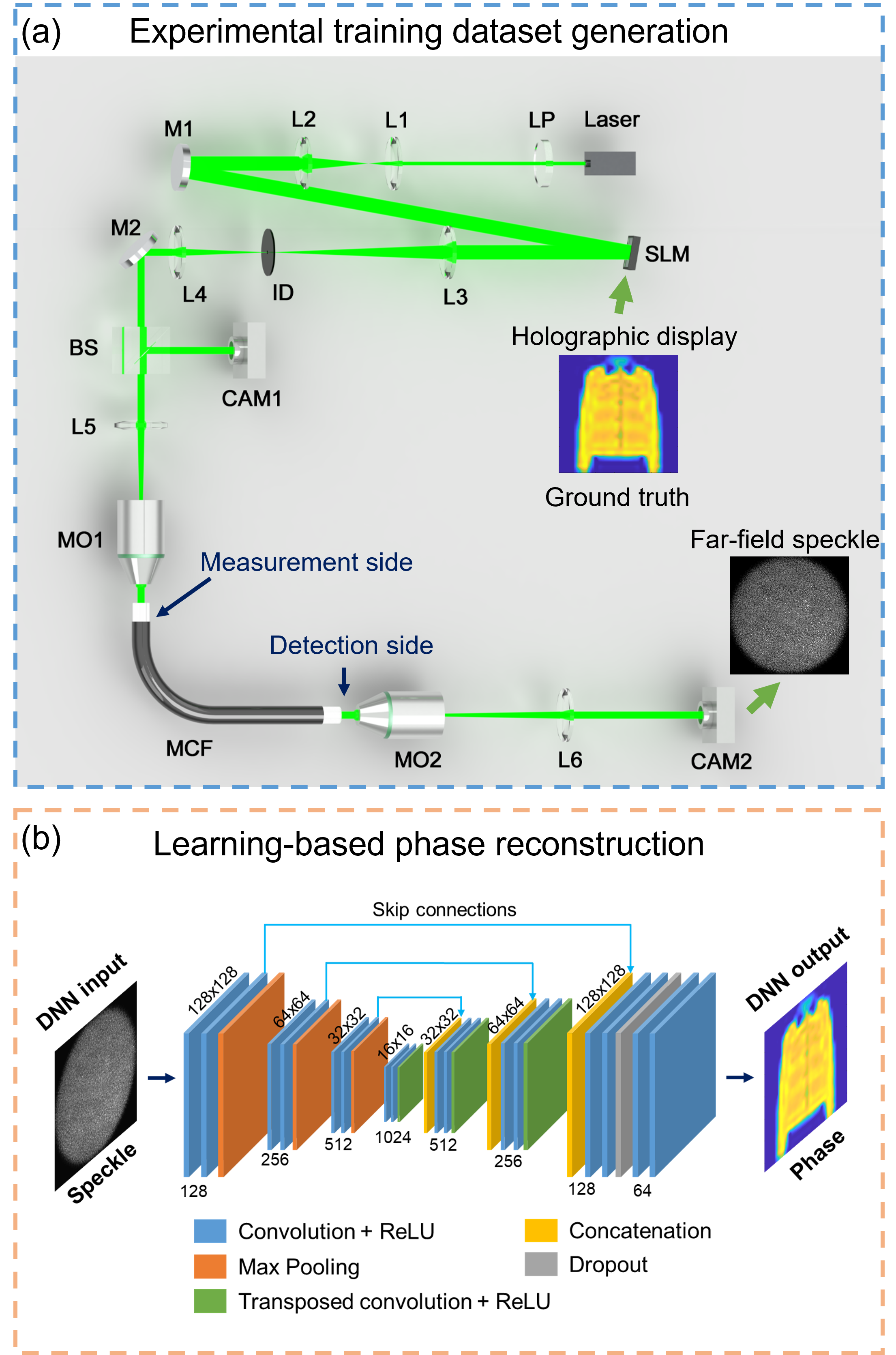 [2312.07102] Calibration-free quantitative phase imaging in multi-core fiber endoscopes using ...
