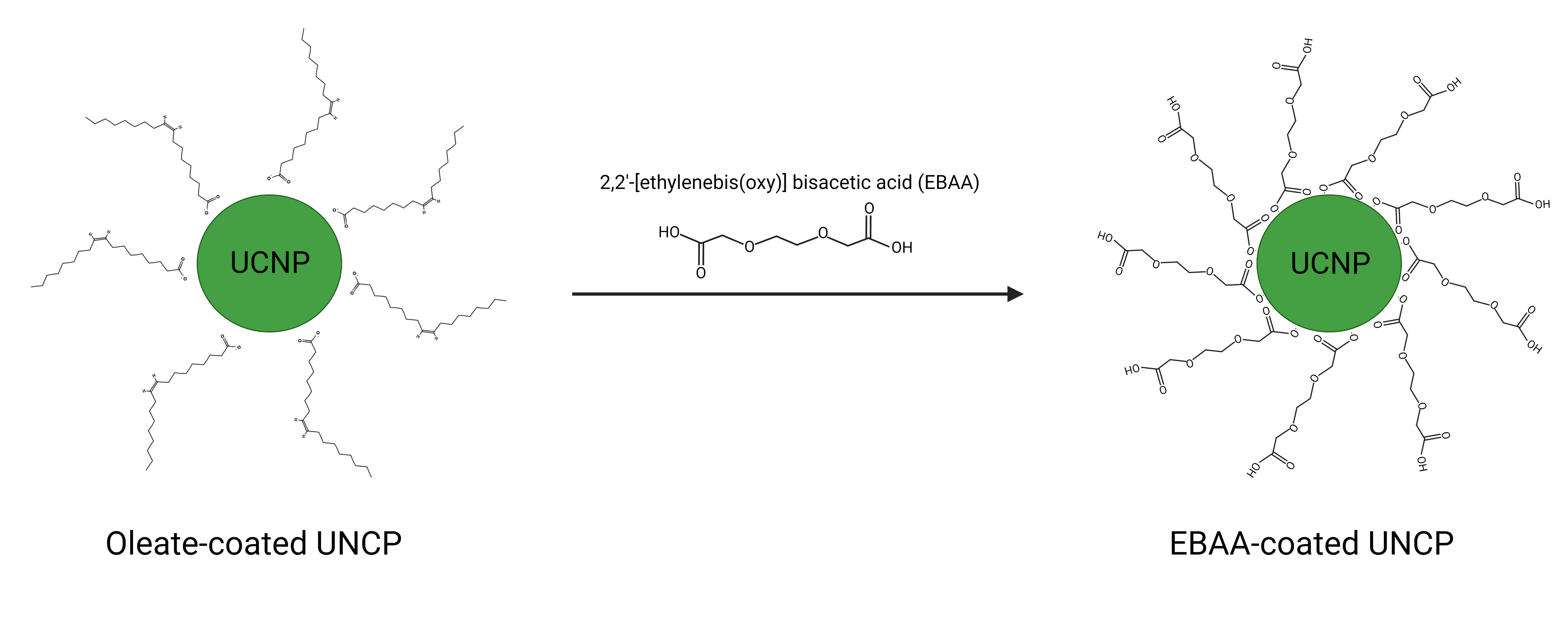 [2312.07303] Abstract