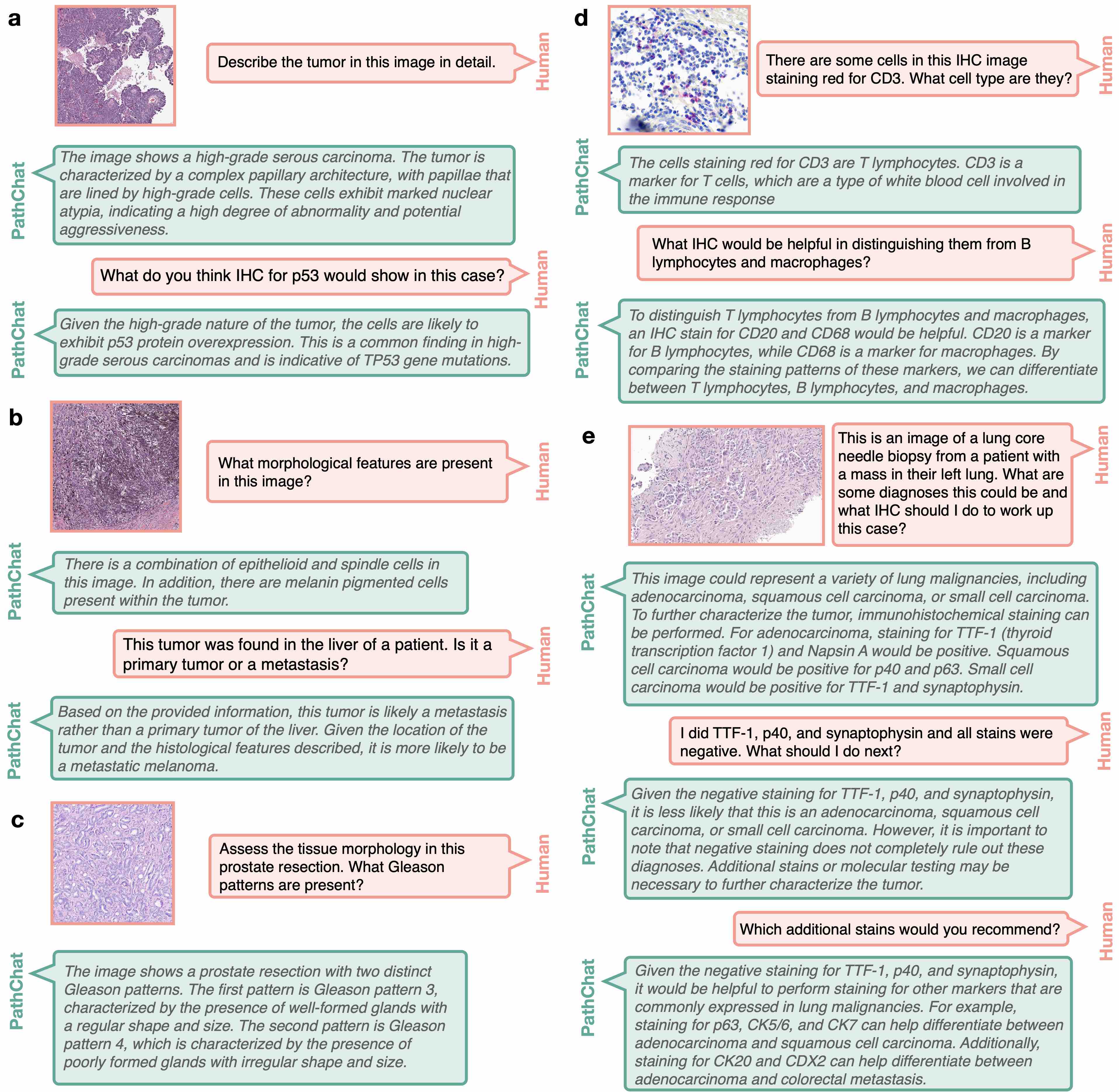 [2312.07814] A Foundational Multimodal Vision Language AI Assistant for ...
