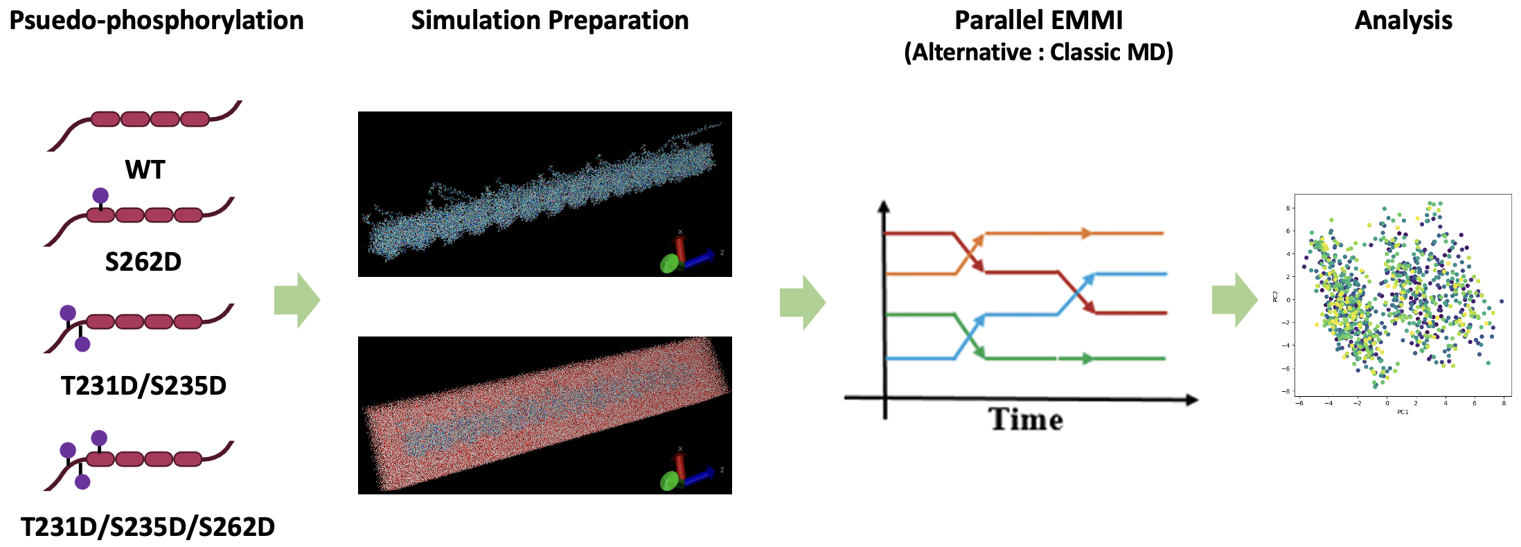 [2312.11700] Characterization of Phosphorylated Tau-Microtubule complex ...