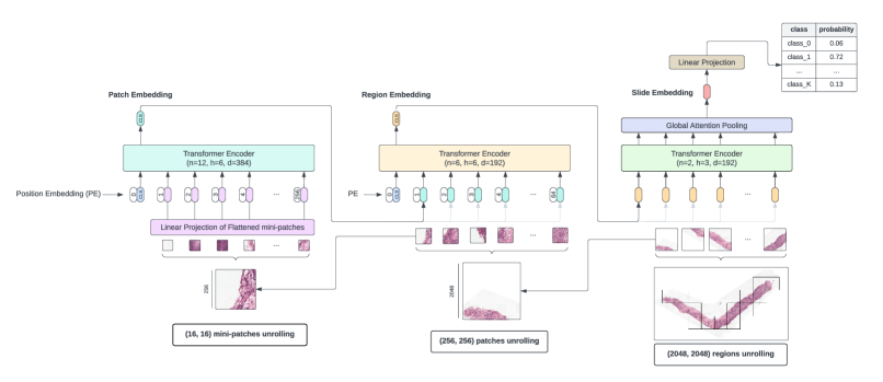 [2312.12619] Hierarchical Vision Transformers for Context-Aware ...