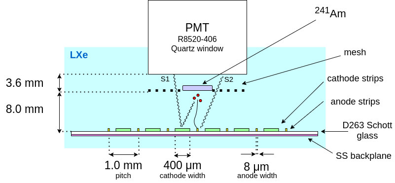 [2312.14663] First observation of liquid xenon electroluminescence with ...