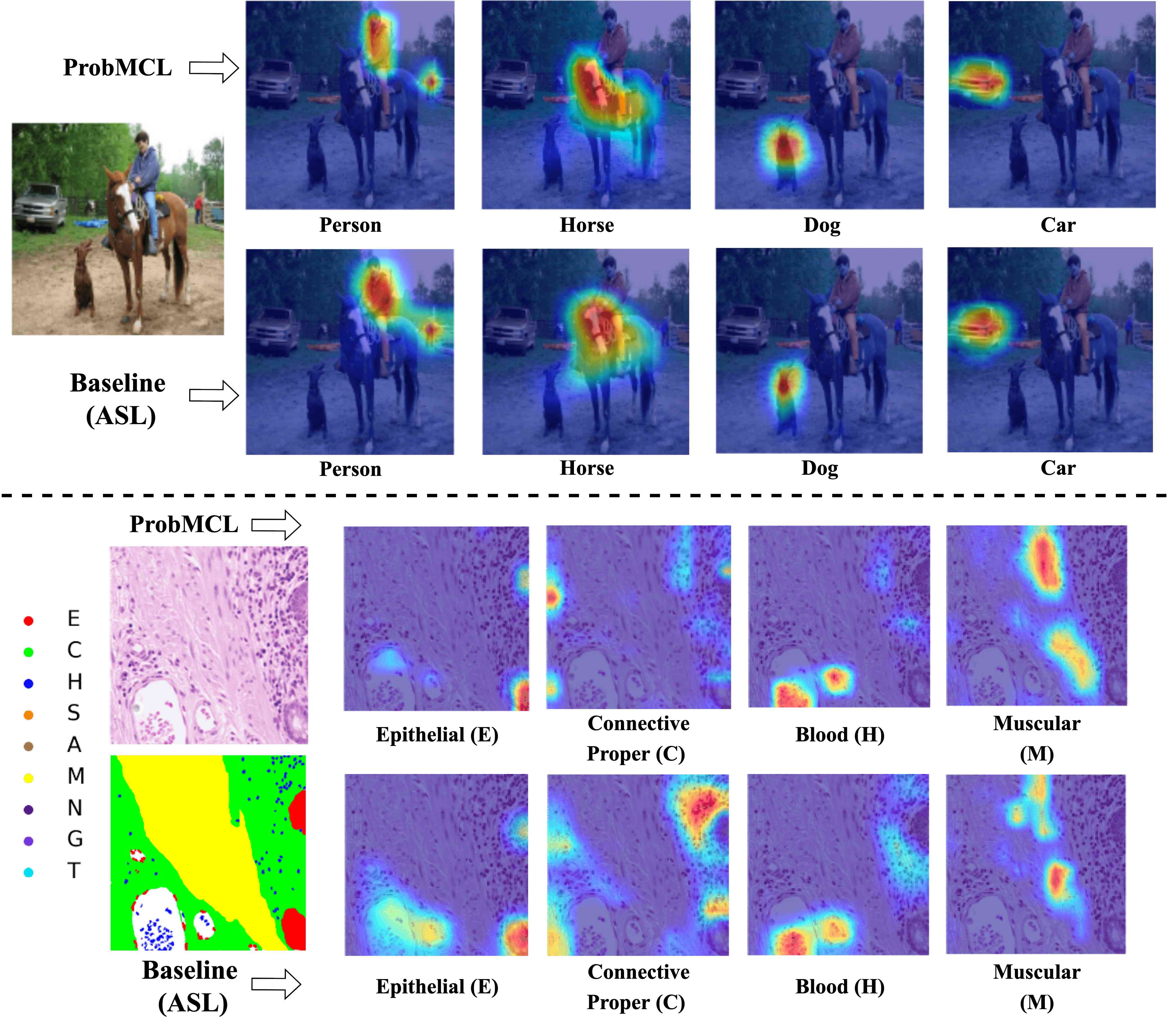 [2401.01448] ProbMCL: Simple Probabilistic Contrastive Learning for Multi-label Visual ...