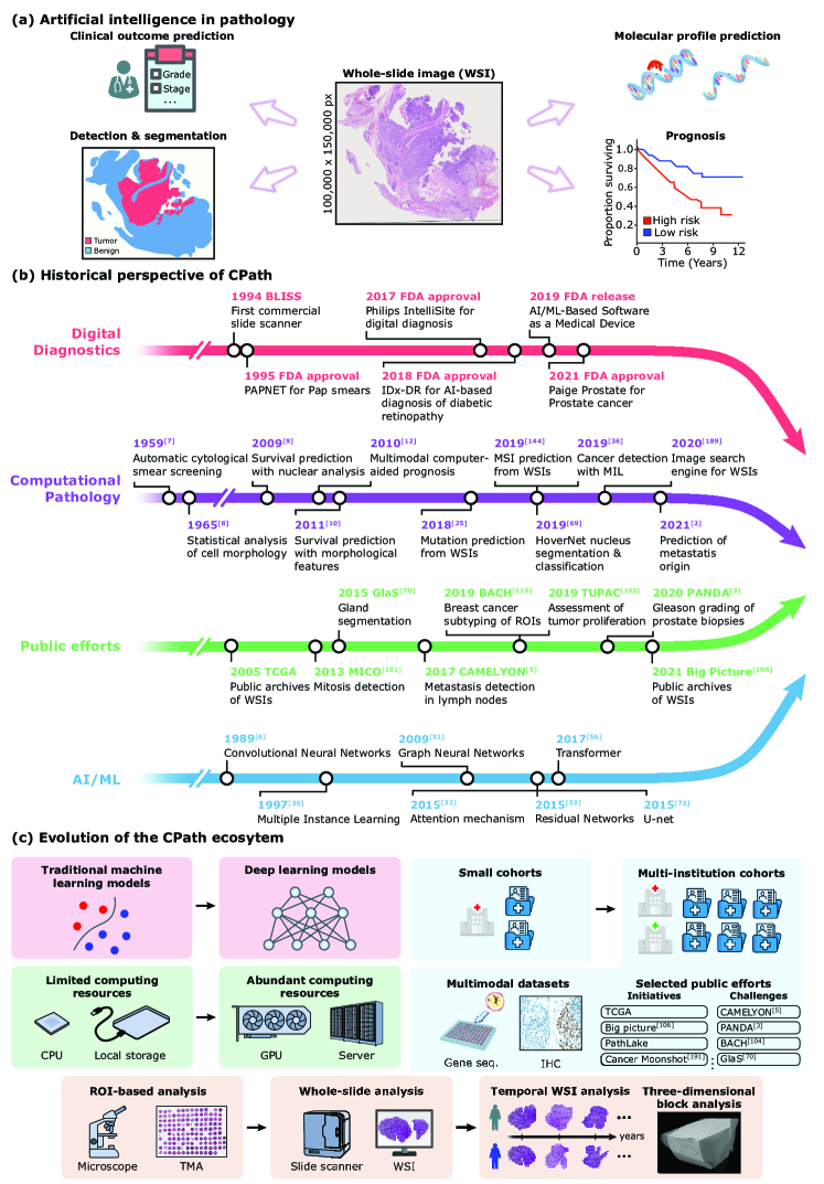 [2401.06148] Artificial Intelligence for Digital and Computational Pathology