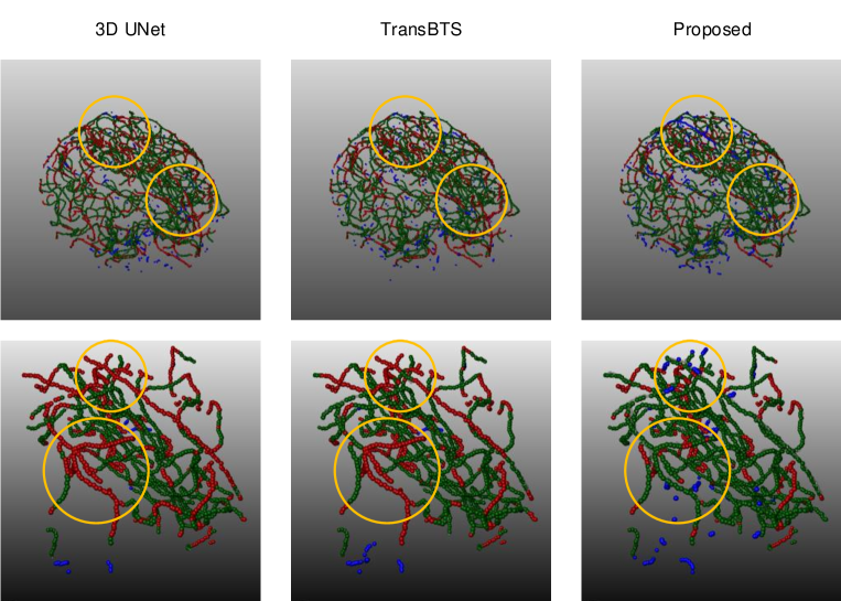 [2401.07041] An automated framework for brain vessel centerline ...