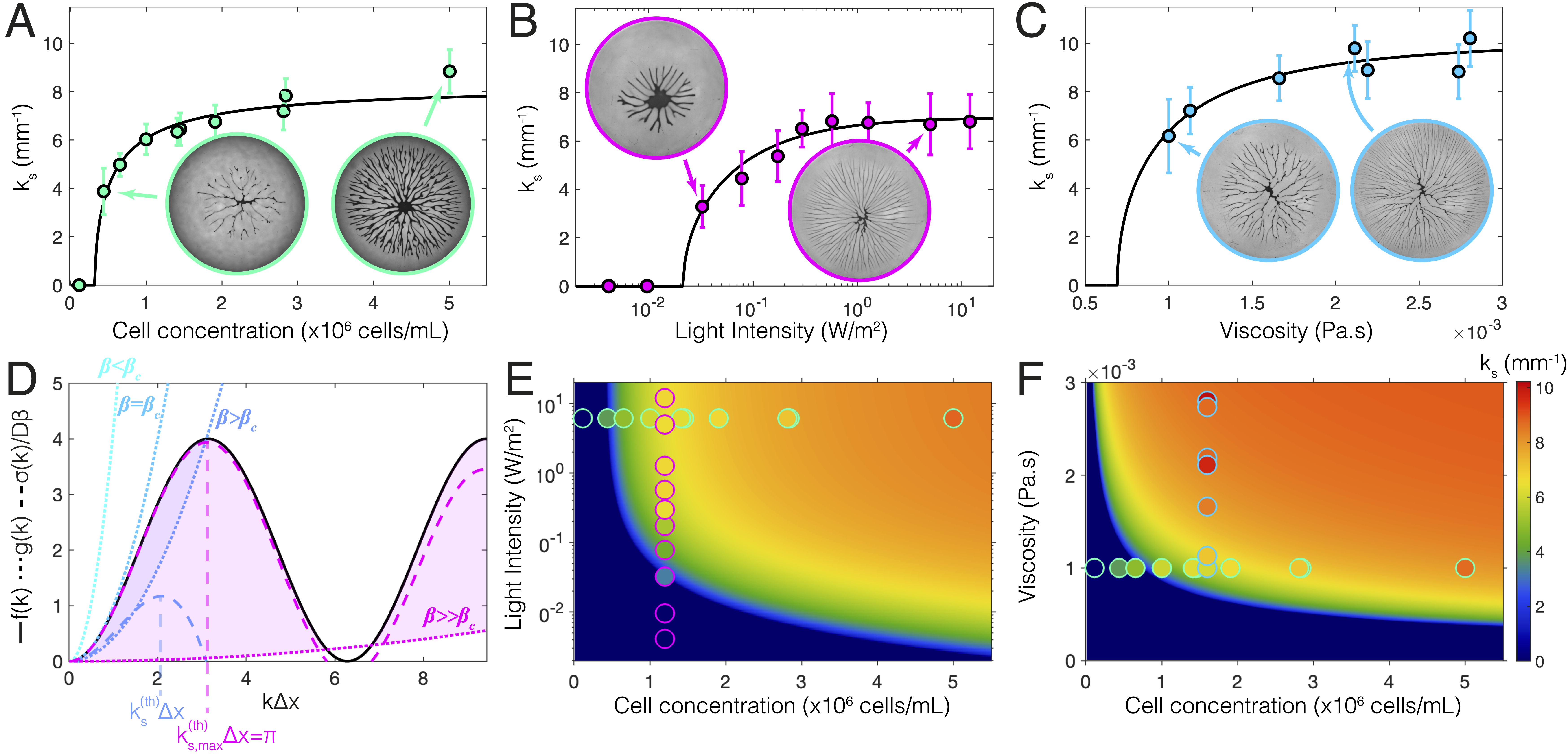 [2401.08394] Collective photoprotection through light-induced phase ...