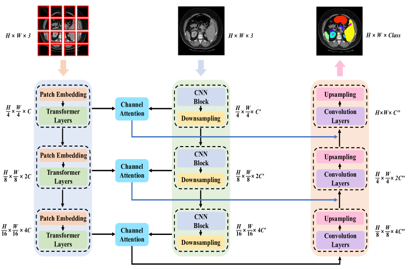 [2401.15307] ParaTransCNN: Parallelized TransCNN Encoder for Medical ...