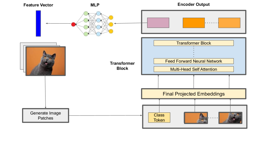 [2401.15362] Transformer-based Clipped Contrastive Quantization Learning for Unsupervised Image ...