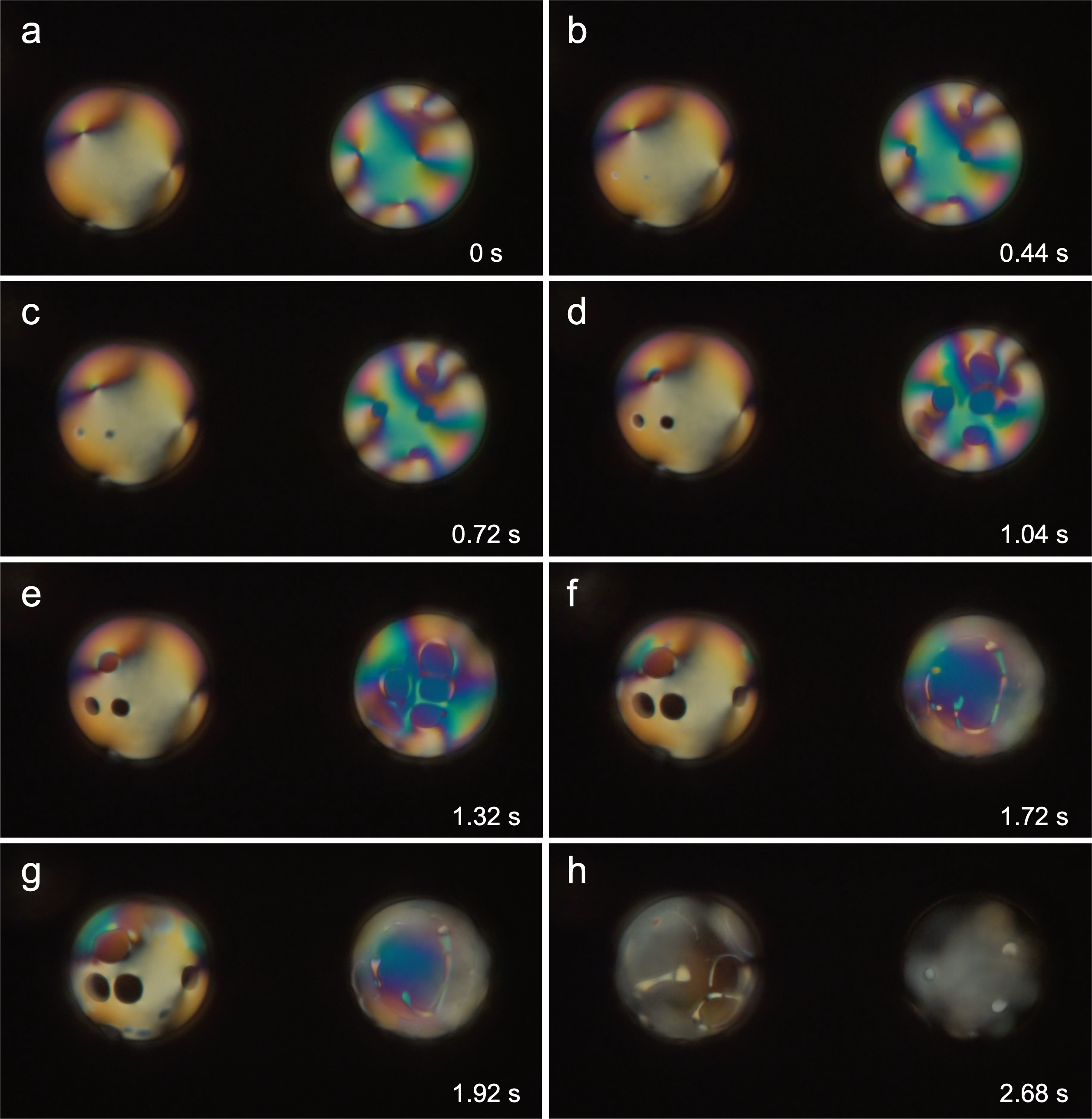 [2402.00552] Topological Defects as Nucleation Points of the Nematic–Isotropic Phase Transition ...