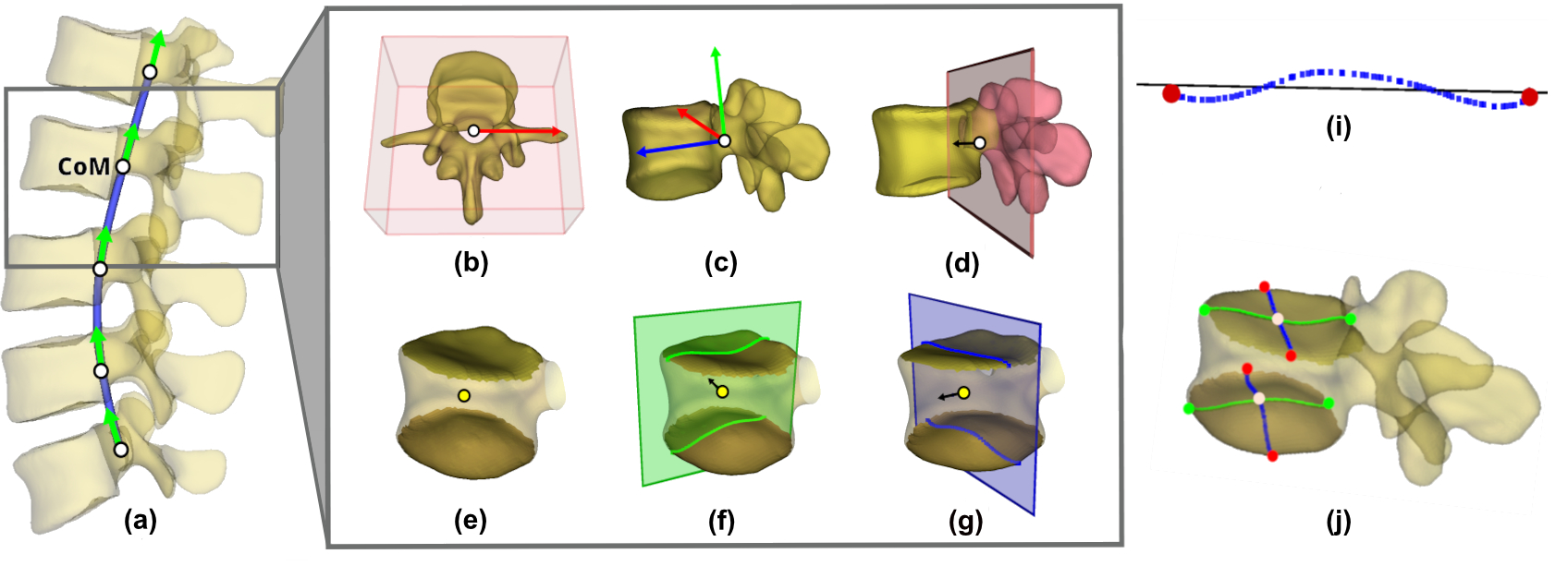 [2402.01462] 3D Vertebrae Measurements: Assessing Vertebral Dimensions in Human Spine Mesh ...