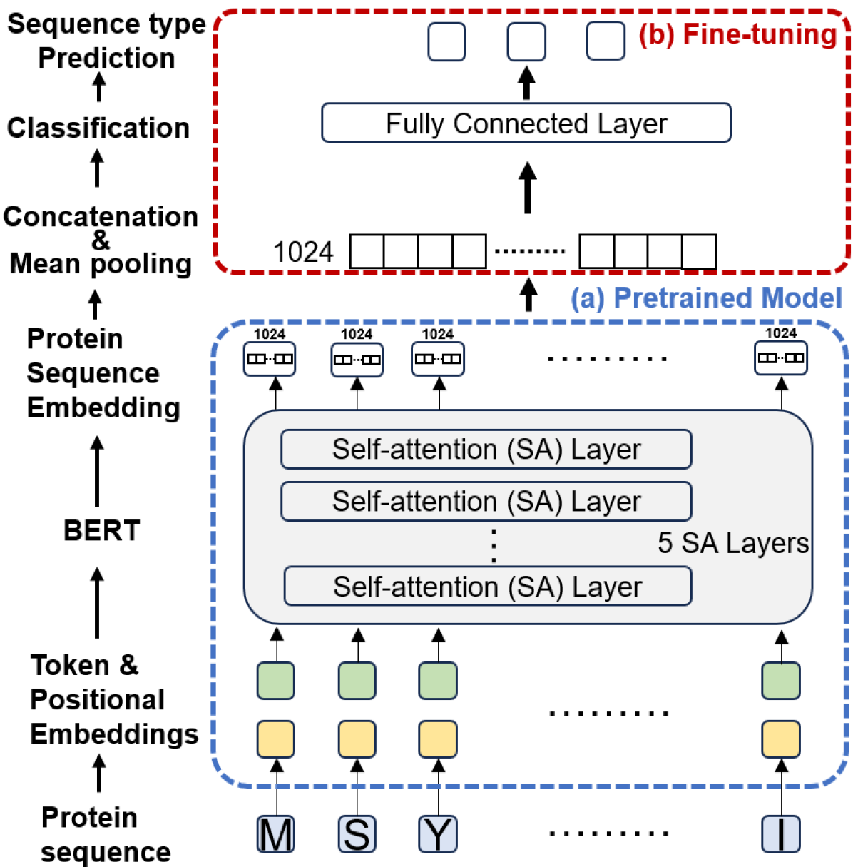 [2402.05953] idMotif: An Interactive Motif Identification in Protein Sequences