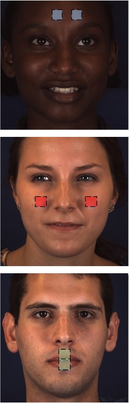 [2402.06165] Learning Contrastive Feature Representations for Facial Action Unit Detection