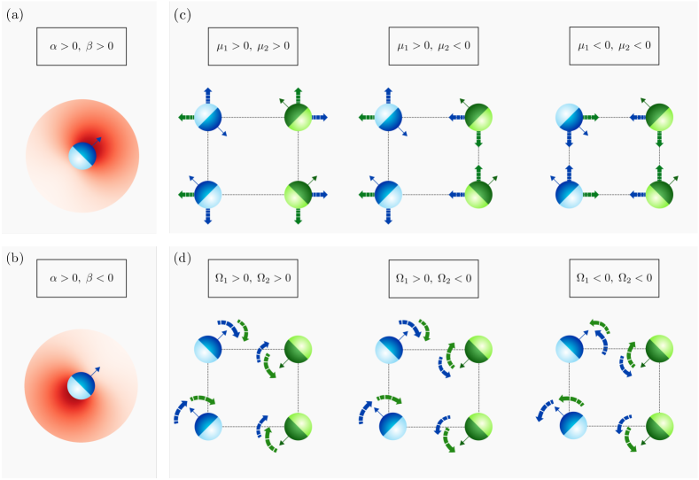 [2402.09279] Nonreciprocal collective dynamics in a mixture of phoretic ...
