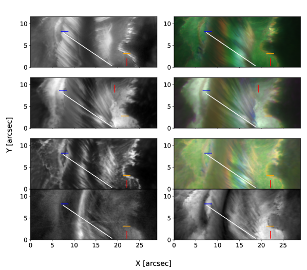 [2402.10611] Spectral variations within solar flare ribbons