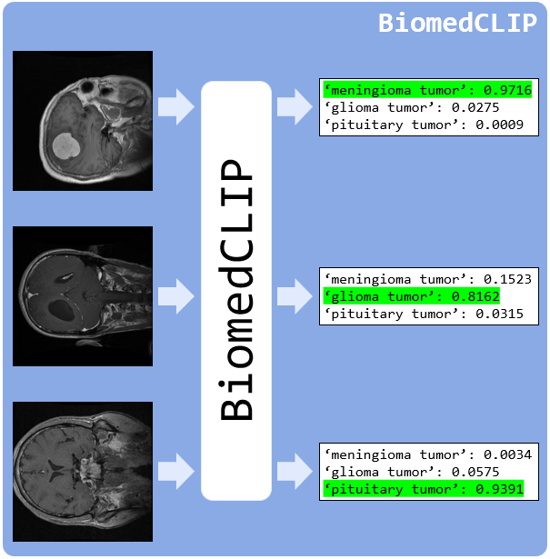 [2402.14162] On Large Visual Language Models for Medical Imaging Analysis: An Empirical Study