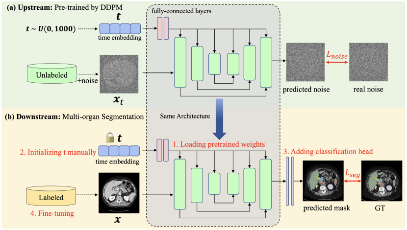 [2402.15216] Label-efficient Multi-organ Segmentation Method with Diffusion Model