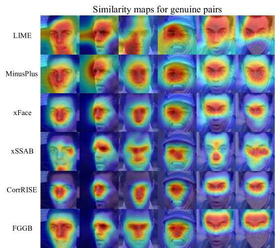 [2403.04549] Explainable Face Verification via Feature-Guided Gradient Backpropagation