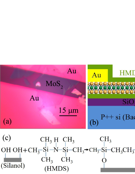 [2403.05885] Enhanced performance of MoS2/SiO2 field-effect transistors by hexamethyldisilazane ...