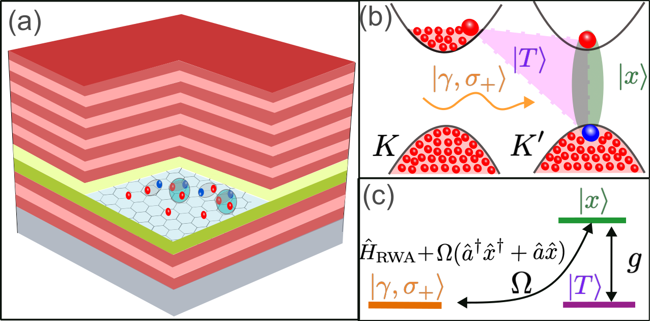 [2403.10693] Ultra-strong trion-polaritons