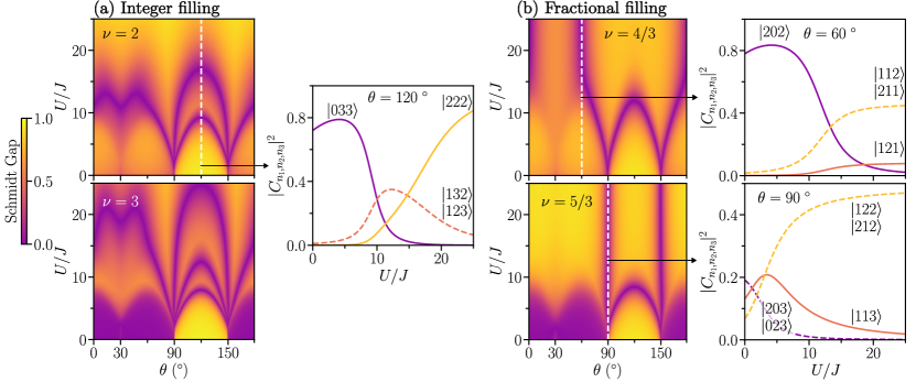 [2403.11620] Ultracold dipolar bosons trapped in atomtronic circuits