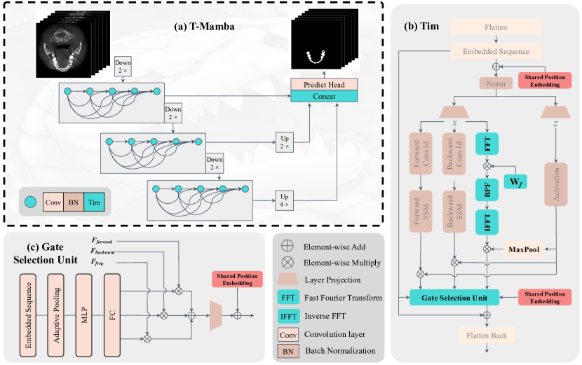 [2404.01065] T-Mamba: Frequency-Enhanced Gated Long-Range Dependency for Tooth 3D CBCT Segmentation