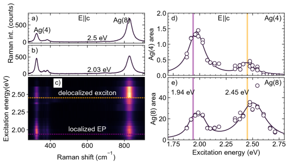 [2404.04112] Resonant Raman signatures of exciton polarons in a ...