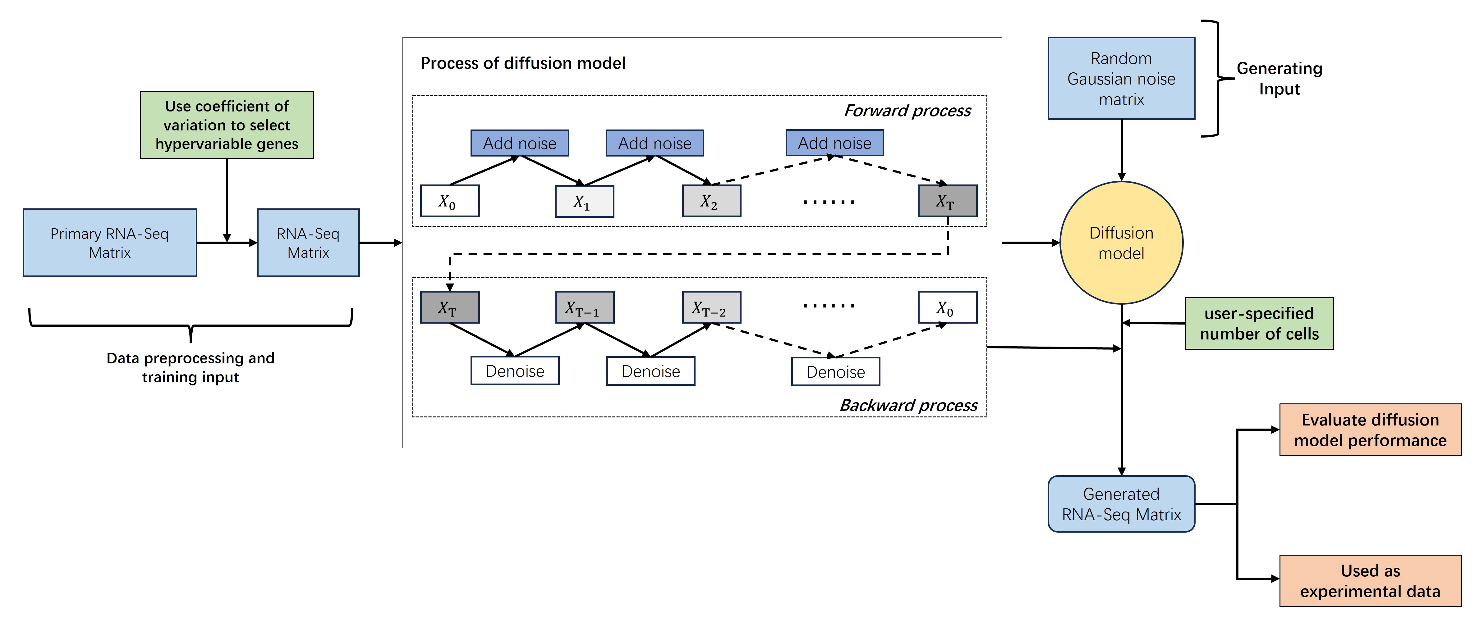 [2404.06153] scRDiT: Generating single-cell RNA-seq data by diffusion transformers and ...