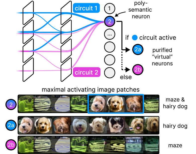 [2404.06453] PURE: Turning Polysemantic Neurons Into Pure Features by Identifying Relevant Circuits